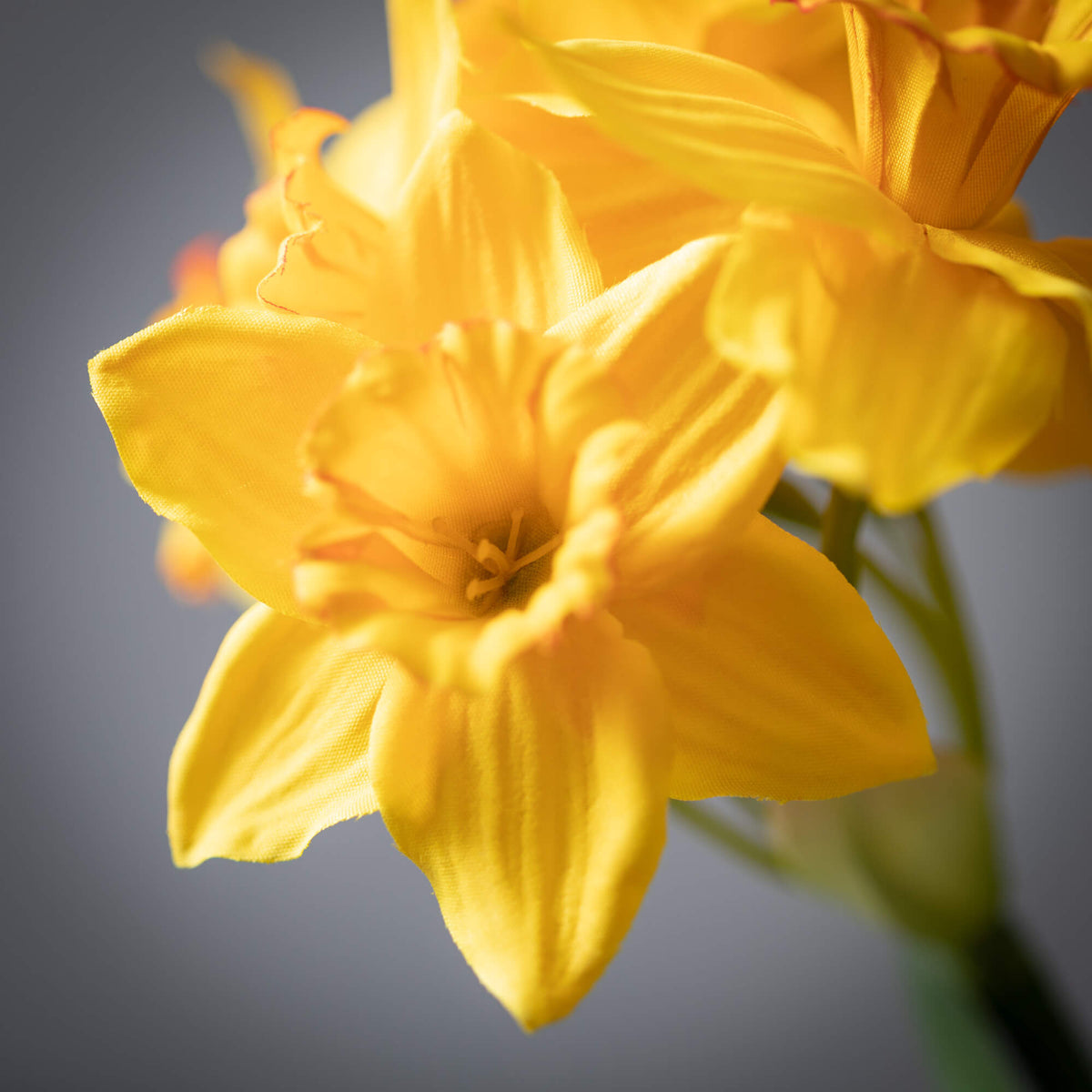 Yellow Daffodil Spring Spray – The Rusty Nickel