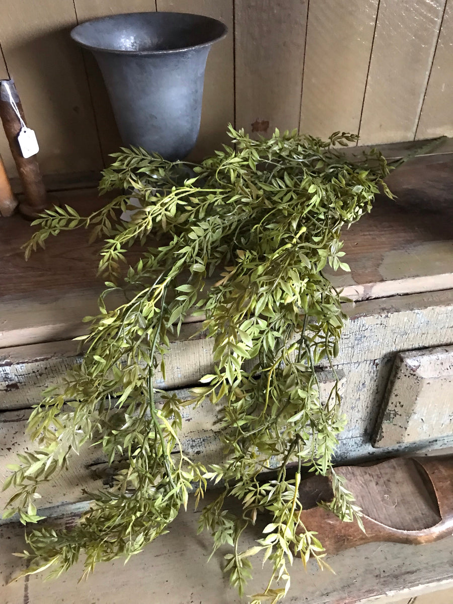 Wisteria Mini Vine – The Rusty Nickel